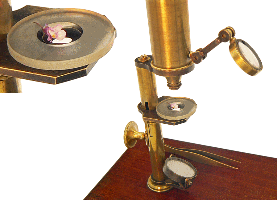 Le Compendium - Microscope droit à platine mobile - microscope sur ...